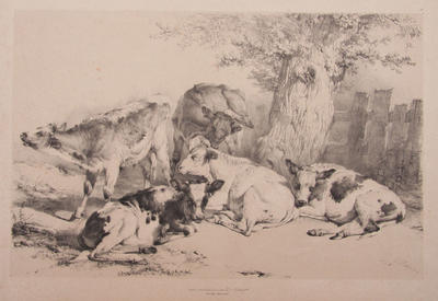 Standing and recumbent cattle under a tree - Dunedin Public Art Gallery