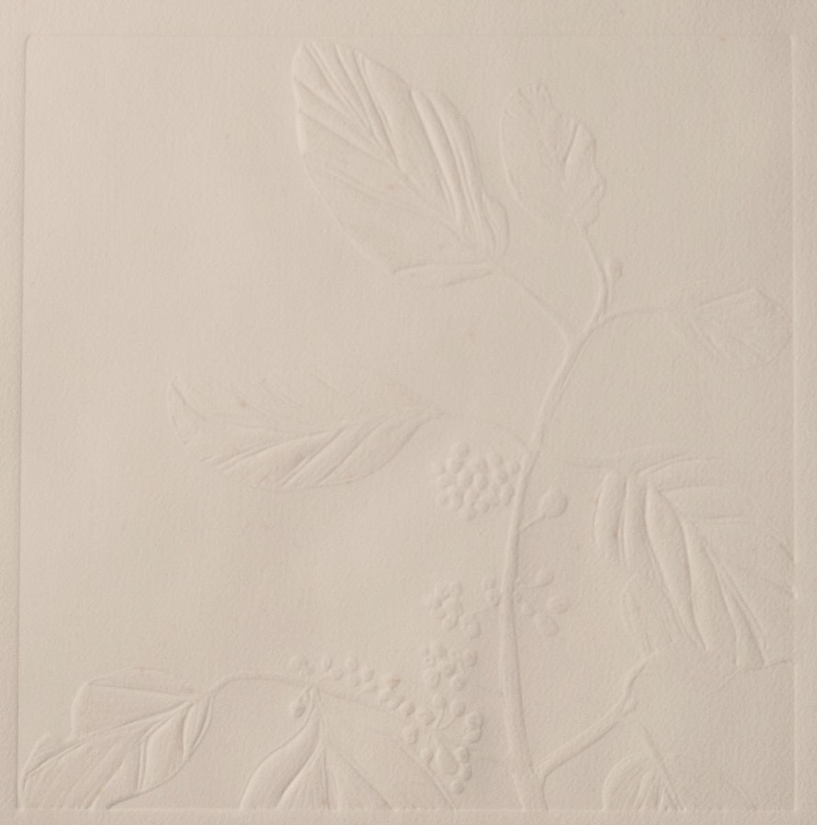 Aramoana fossil - Griselinia littoralis - Dunedin Public Art Gallery